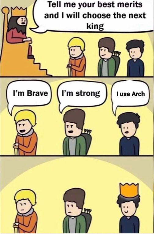 I use Arch, btw – Lucas A. Meyer