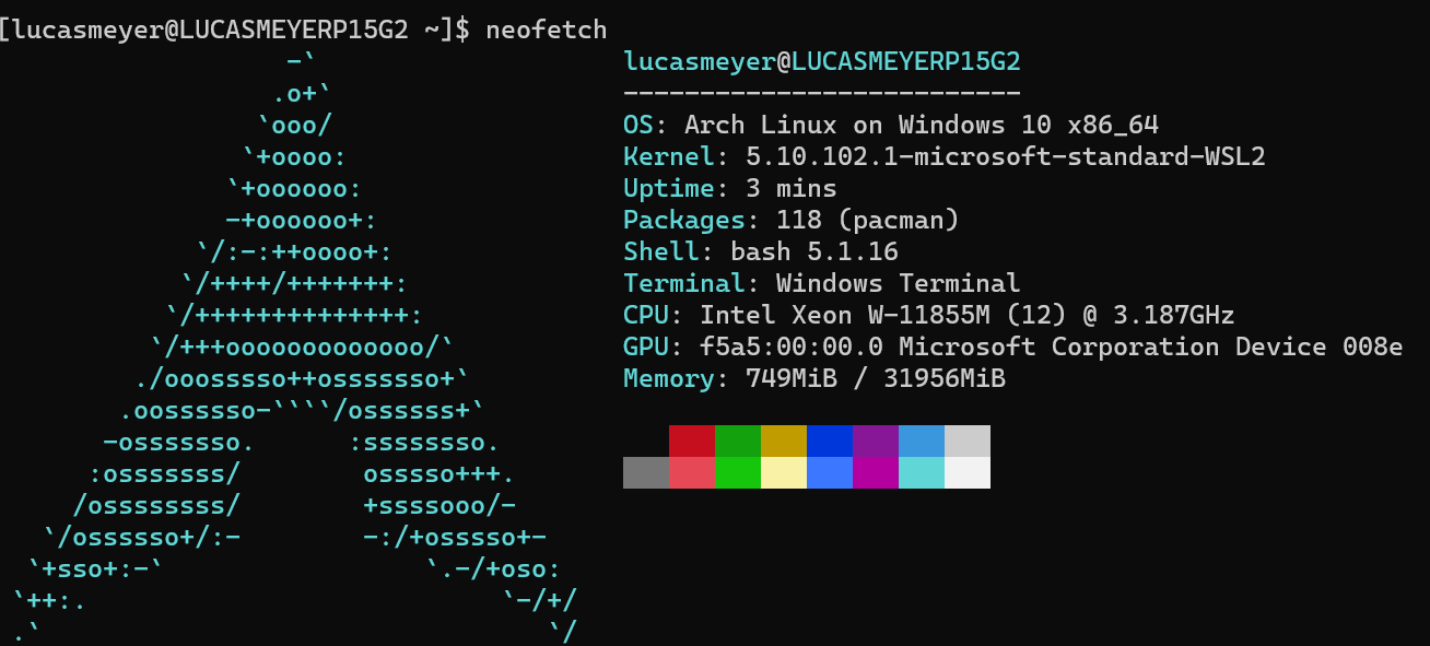 Lucas A. Meyer - I use Arch, btw