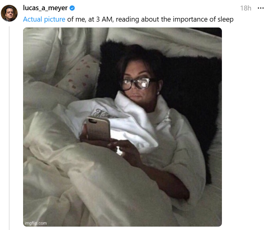 Lucas A. Meyer - Explaining memes and images with the Semantic Kernel ...